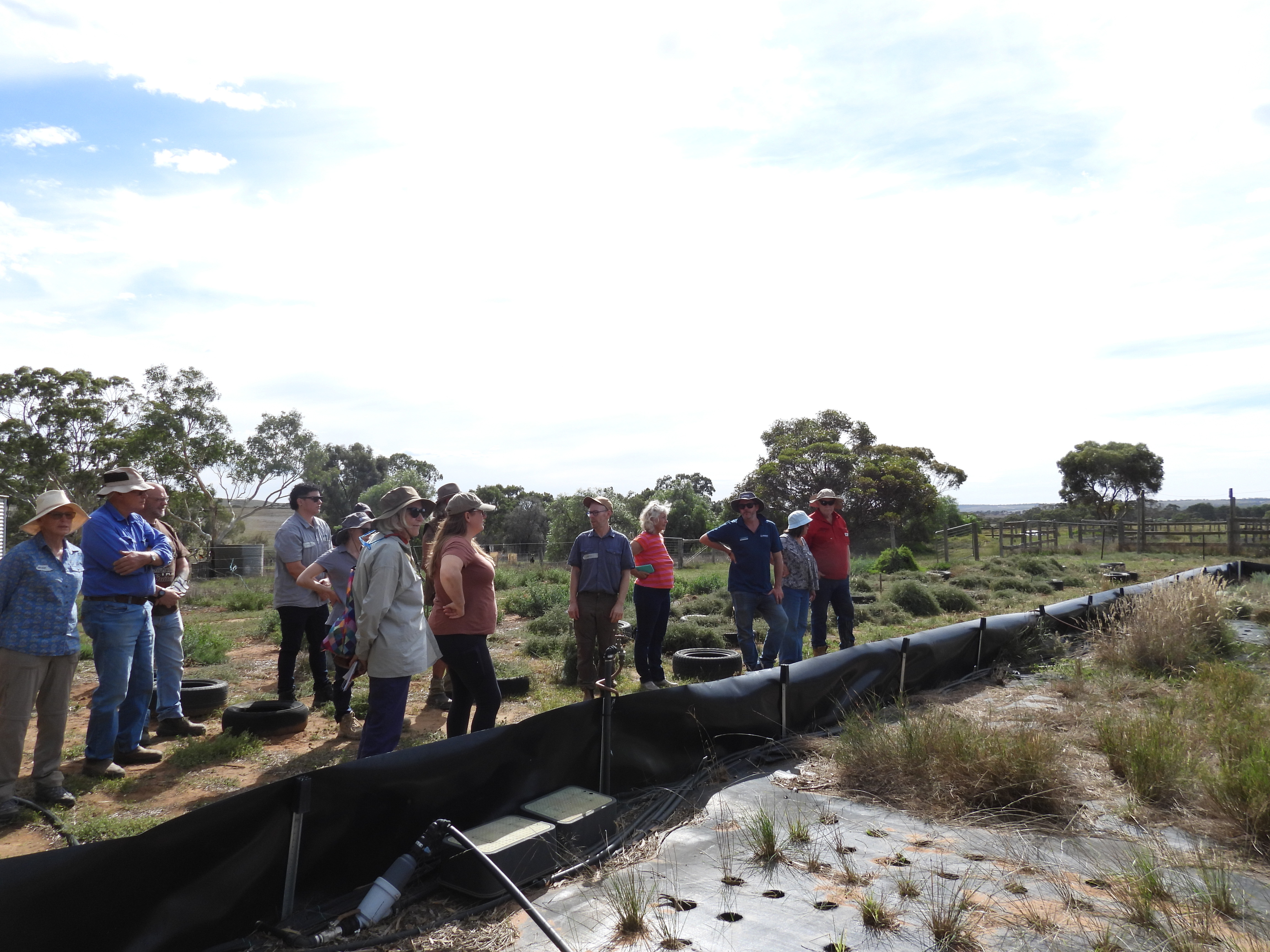 Planning for Thriving… | Landscape South Australia - Hills & Fleurieu